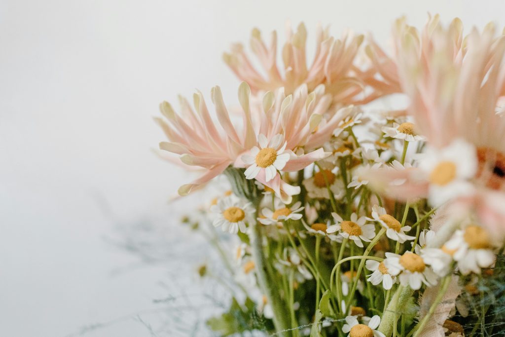 Las 7 flores elegantes más sofisticadas y su significado - El Jardín de ...